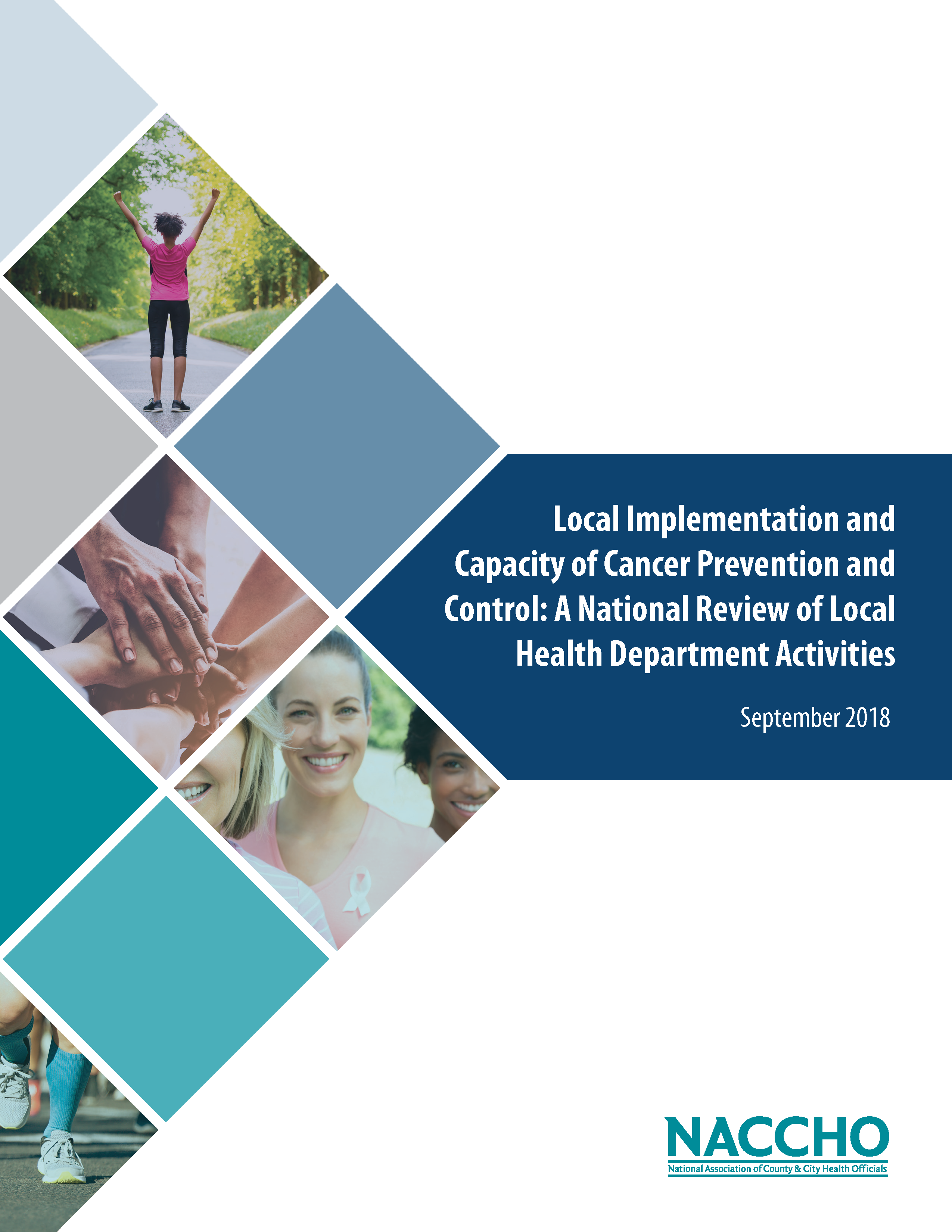 NACCHO Publication Results